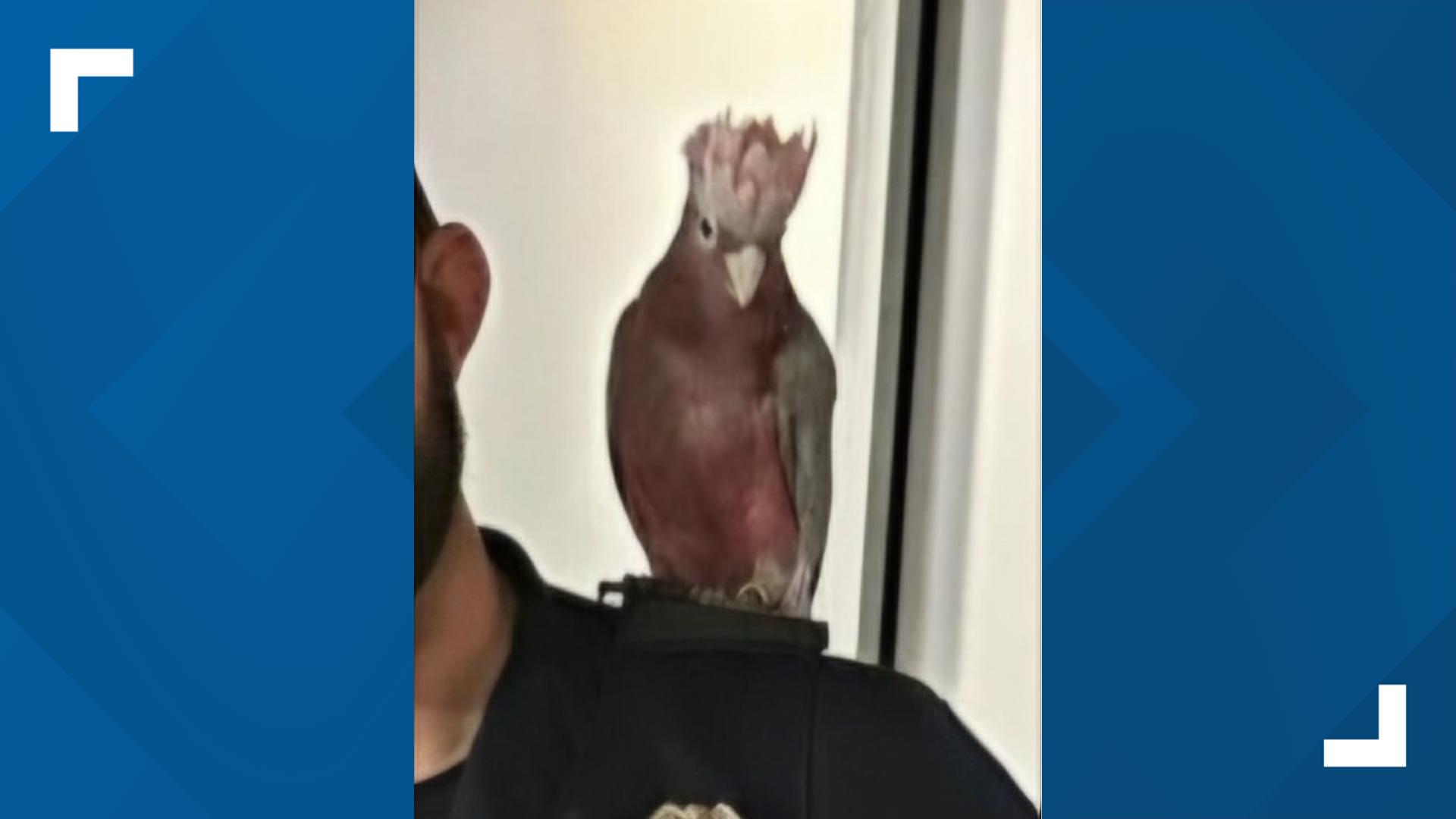 Matthew Pancake held on a $10,000 bond | Columbus, Ohio | 10tv.com