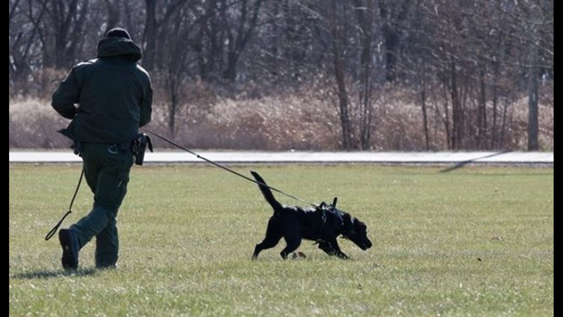 State wildlife division to introduce new K-9 program | 10tv.com