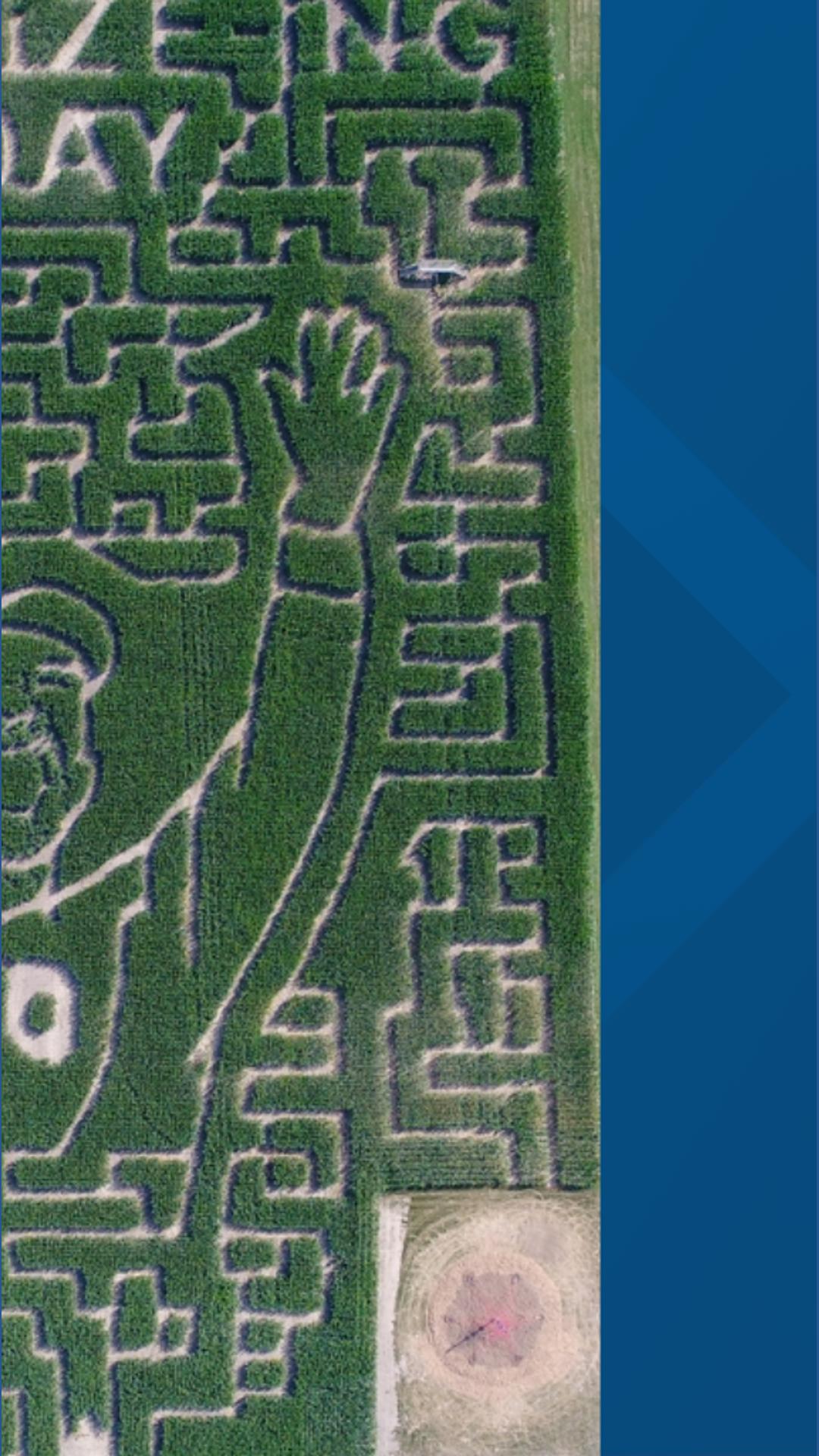 Ohio farm honors Ryan Day with corn maze tribute | 10tv.com