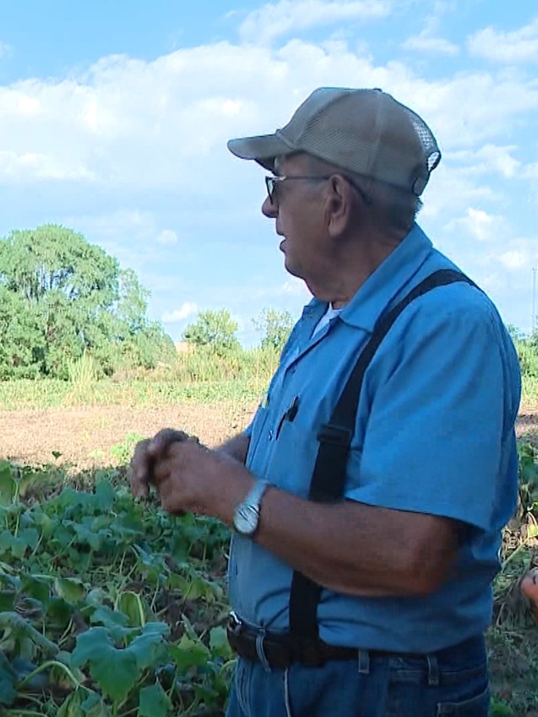 300 pumpkins stolen from pumpkin patch in Pickerington, owner says ...