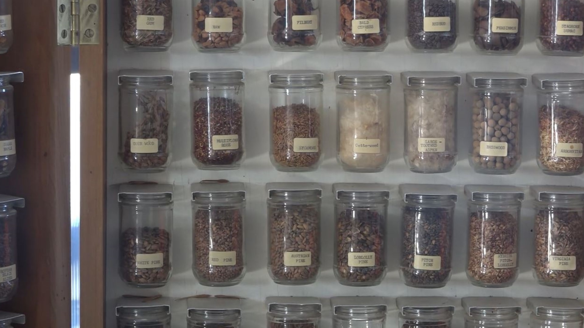 New Buckeye State Tree Nursery opens in Ohio | 10tv.com