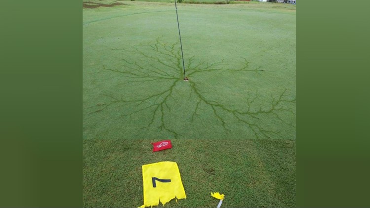 Hole in one? Lightning strike leaves mesmerizing display on golf course ...