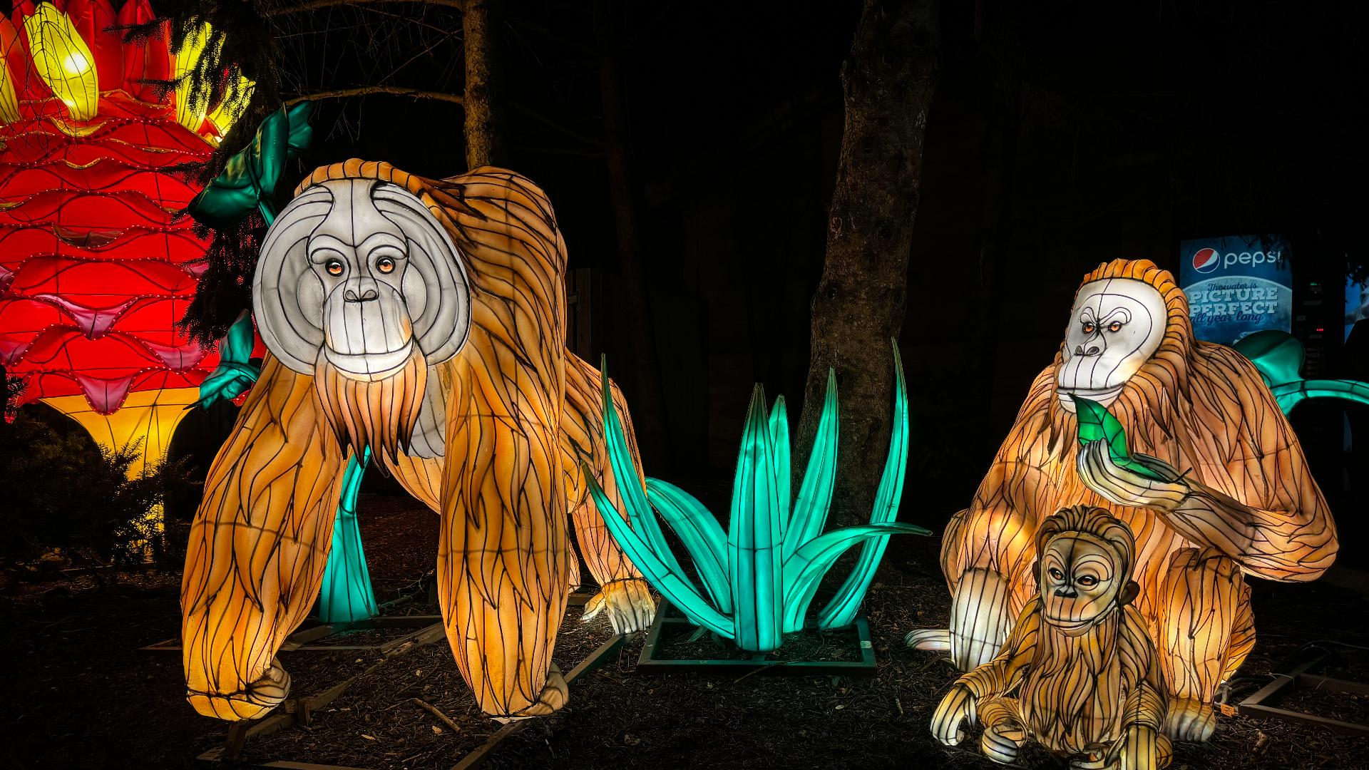 Columbus Zoo lantern festival returns this fall: Dates, tickets and ...