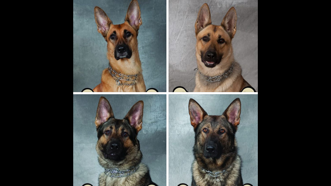 Ohio Highway Patrol Looking For Most Dapper Dog | 10tv.com