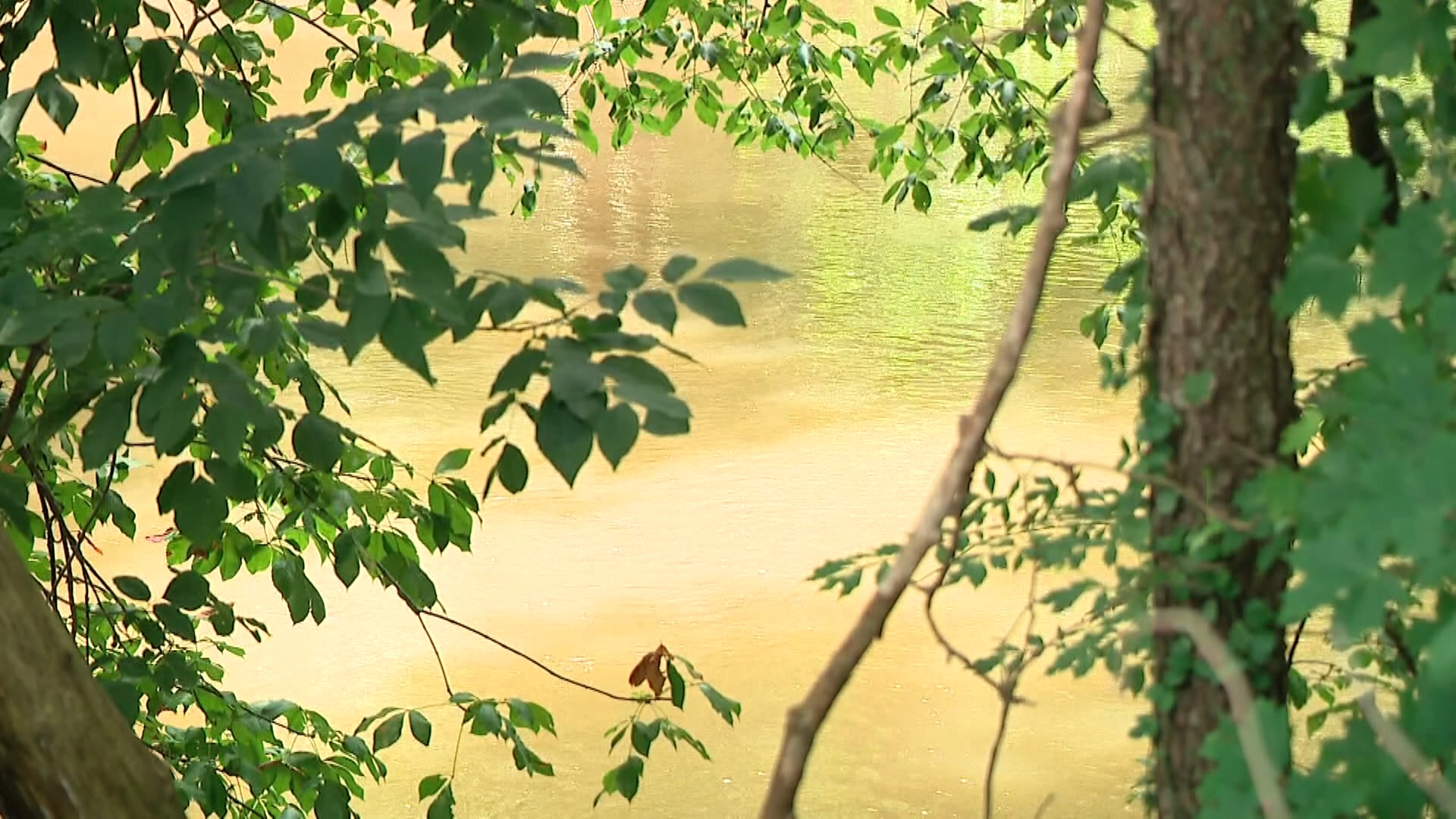 Teens save boy, his mom from river near Pataskala pool | 10tv.com