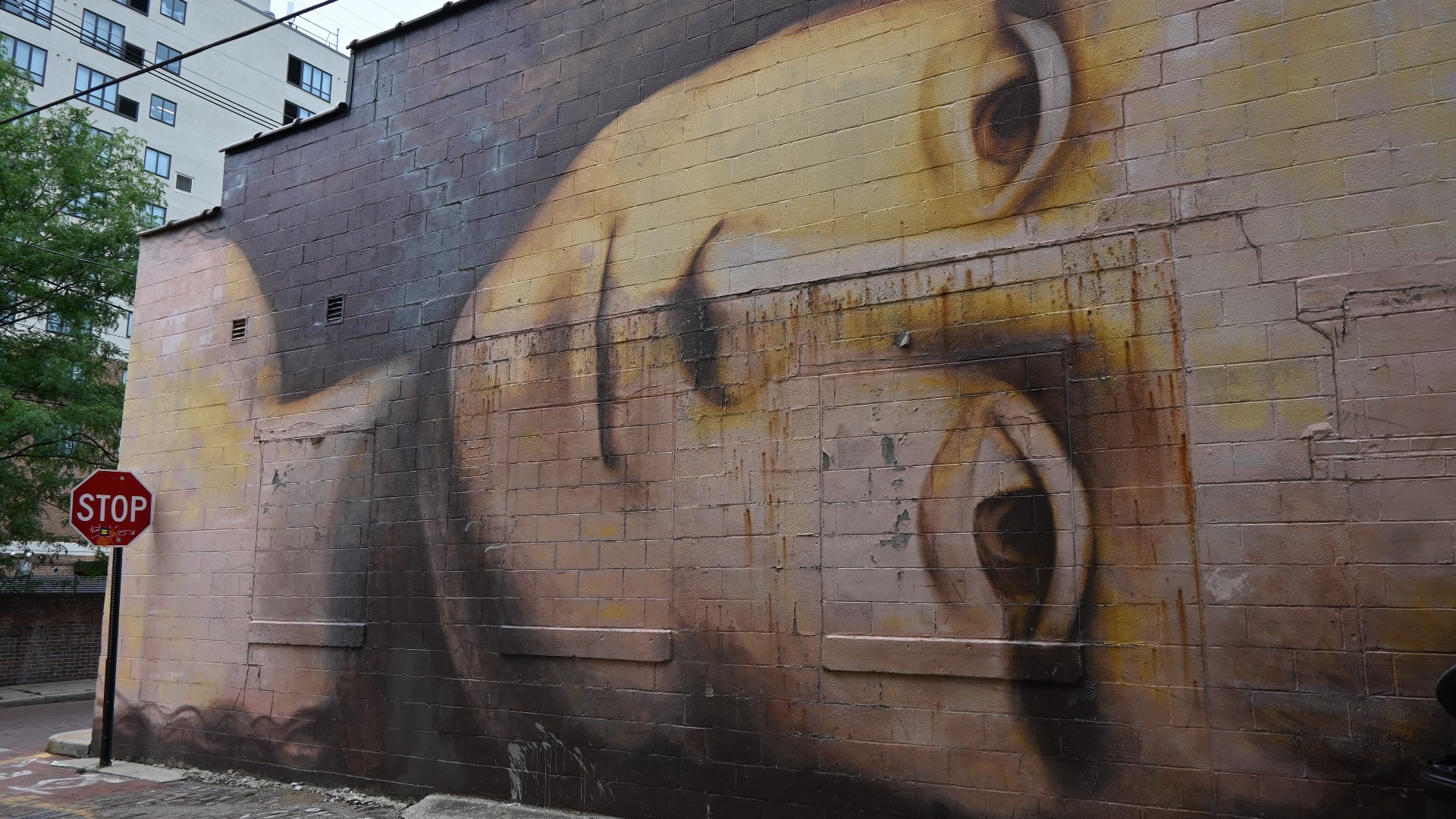 A look at the creative murals in Columbus and the artists behind them ...