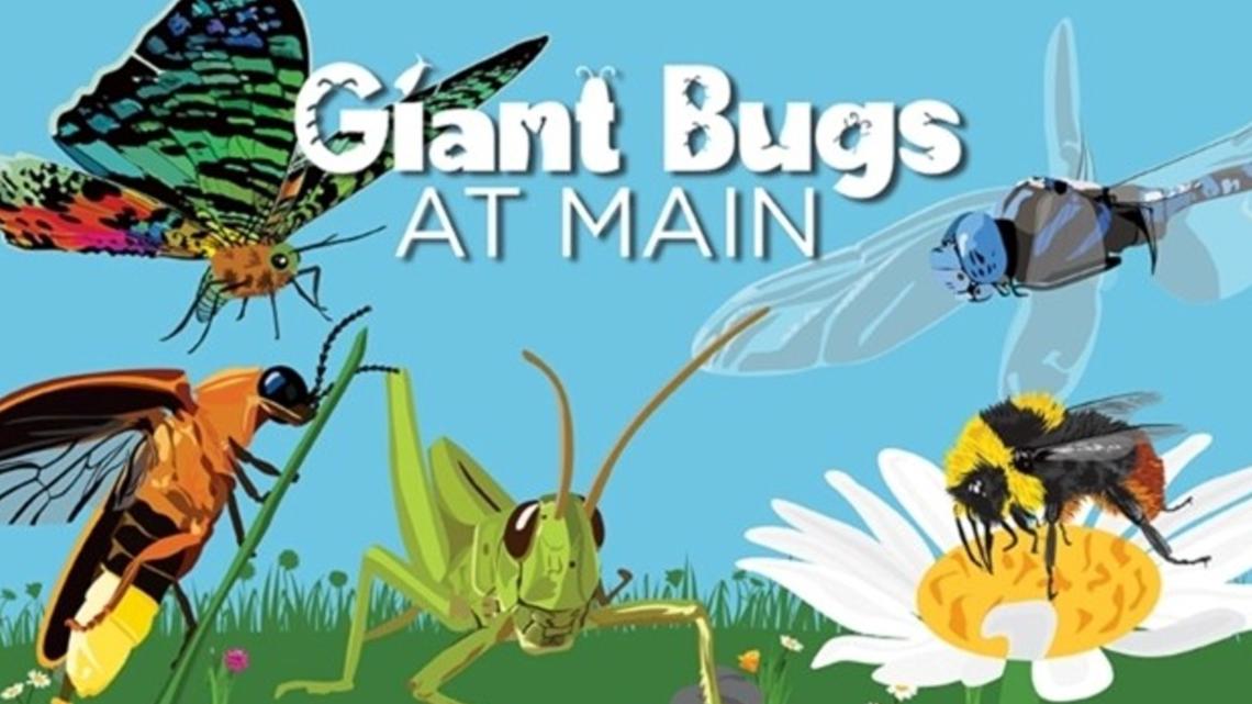 Columbus Library hosts giant bug exhibit | 10tv.com