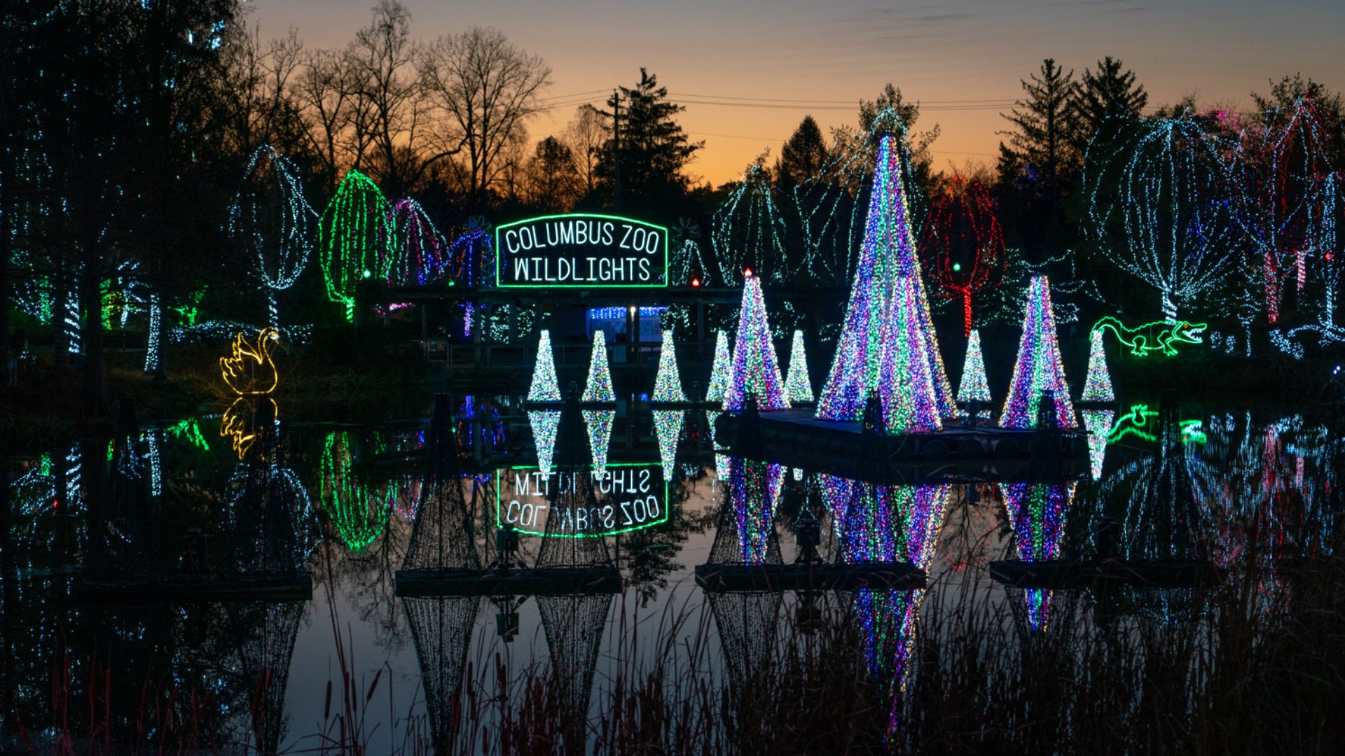 Central Ohio's tree lightings, light shows | 10tv.com