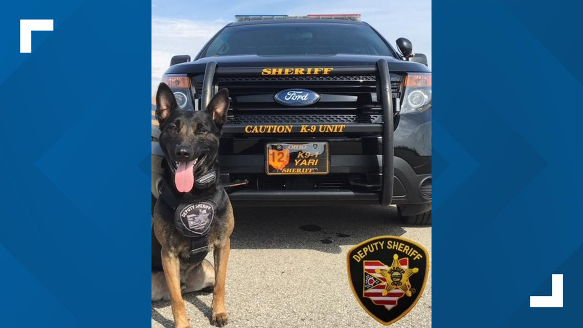 Clark County Sheriff's Office announces death of retired K-9 | 10tv.com