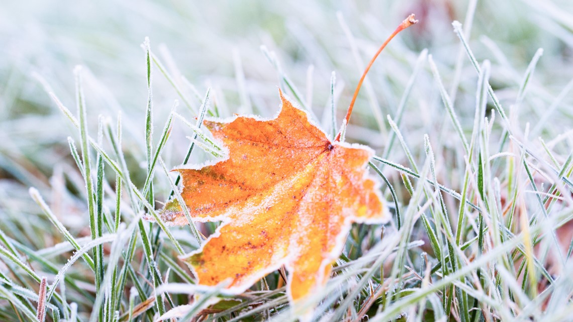 Freeze Warning issued for central Ohio | 10tv.com