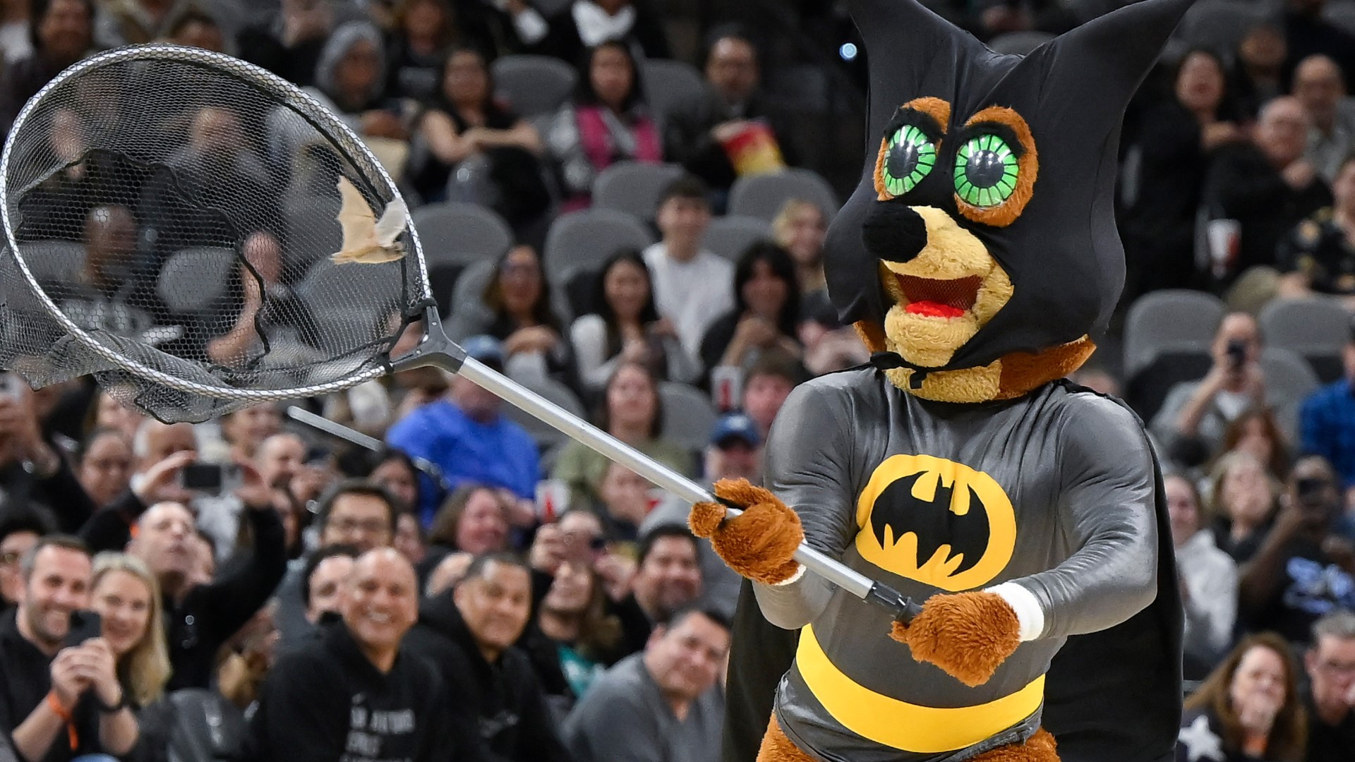 Spurs mascot The Coyote captures bat | 10tv.com