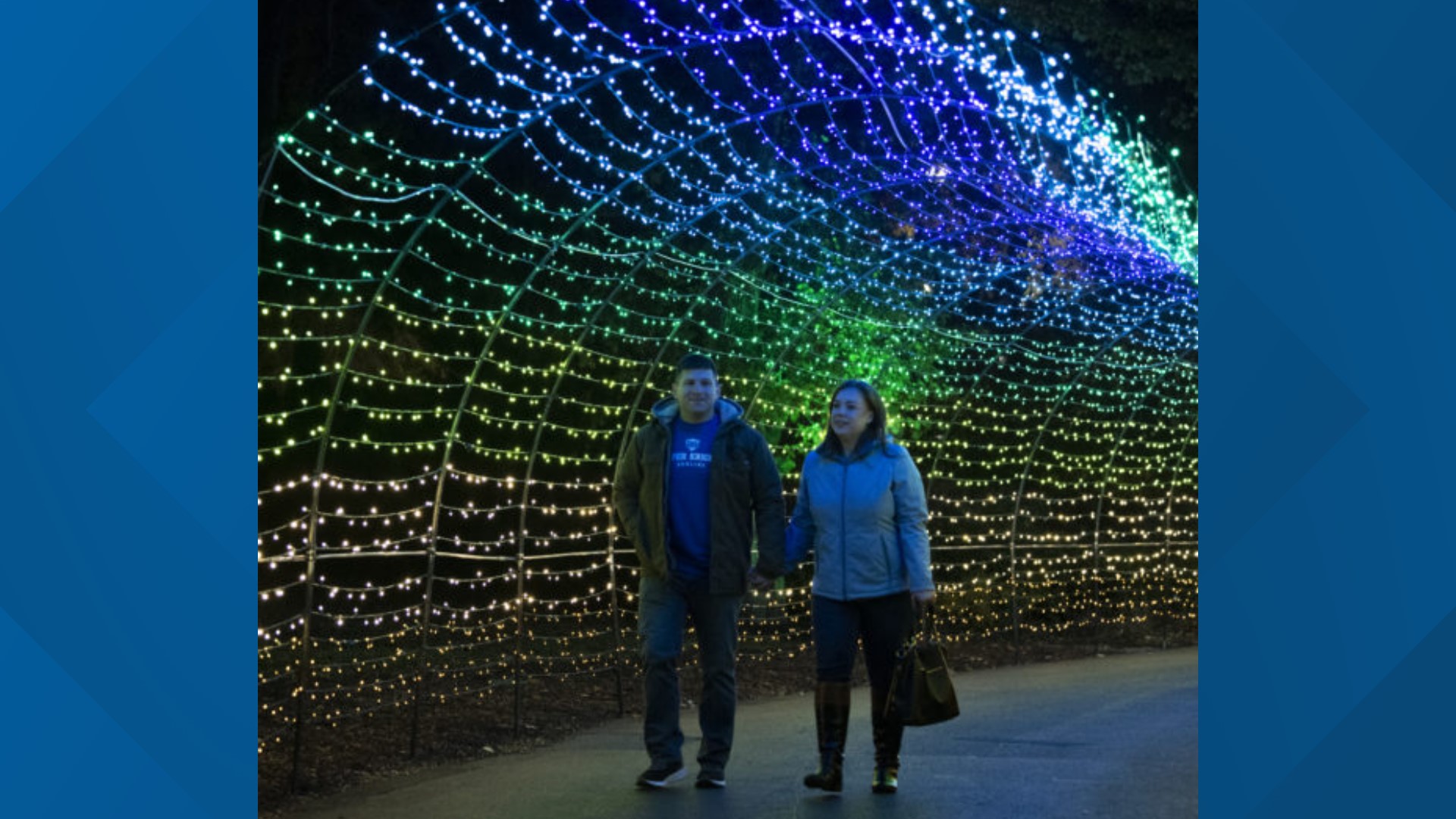 Central Ohio's tree lightings, light shows | 10tv.com