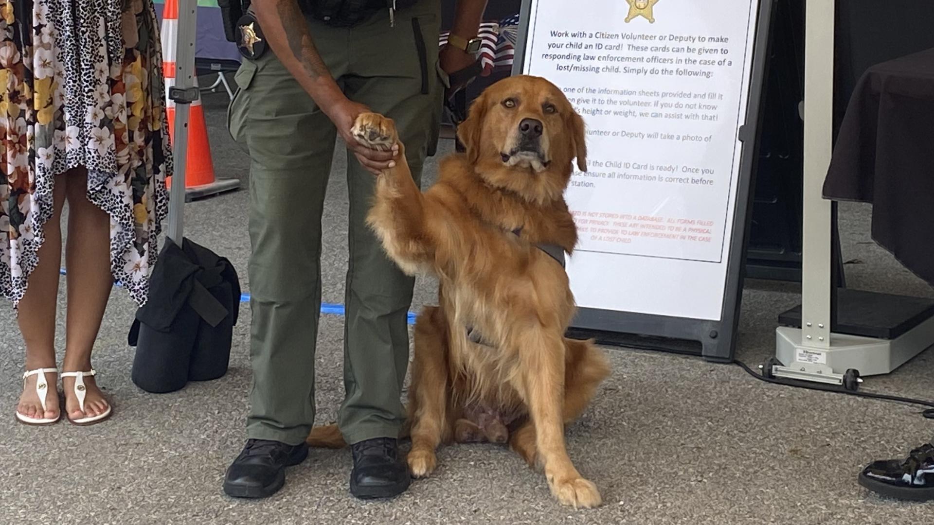 Franklin County Sheriff's Office welcomes new therapy dog | 10tv.com