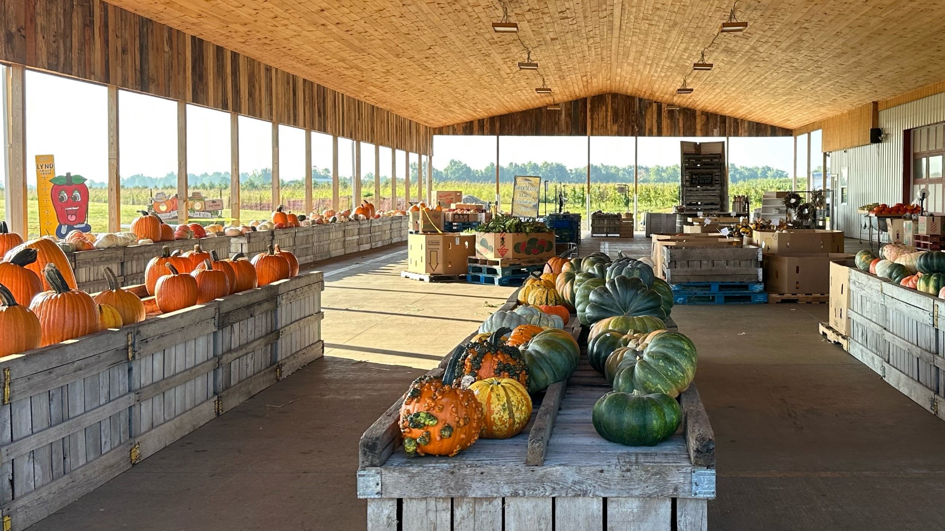 Pumpkin, apple farms in central Ohio | 10tv.com