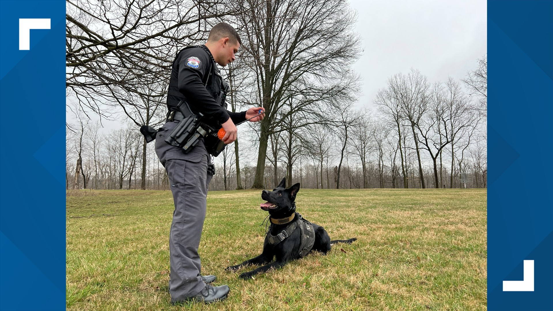 Ohio drug-detecting K9s could retire under new bill | 10tv.com
