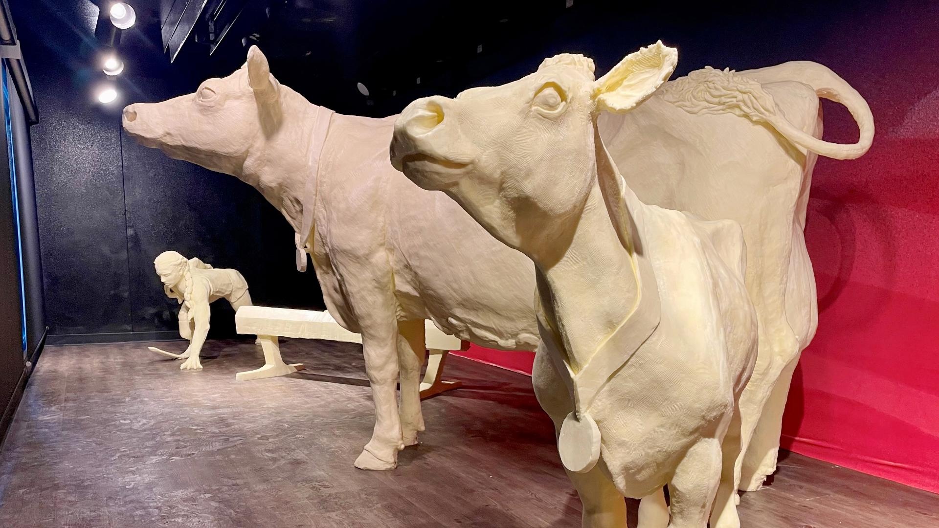 2024 Ohio State Fair butter cow display | 10tv.com