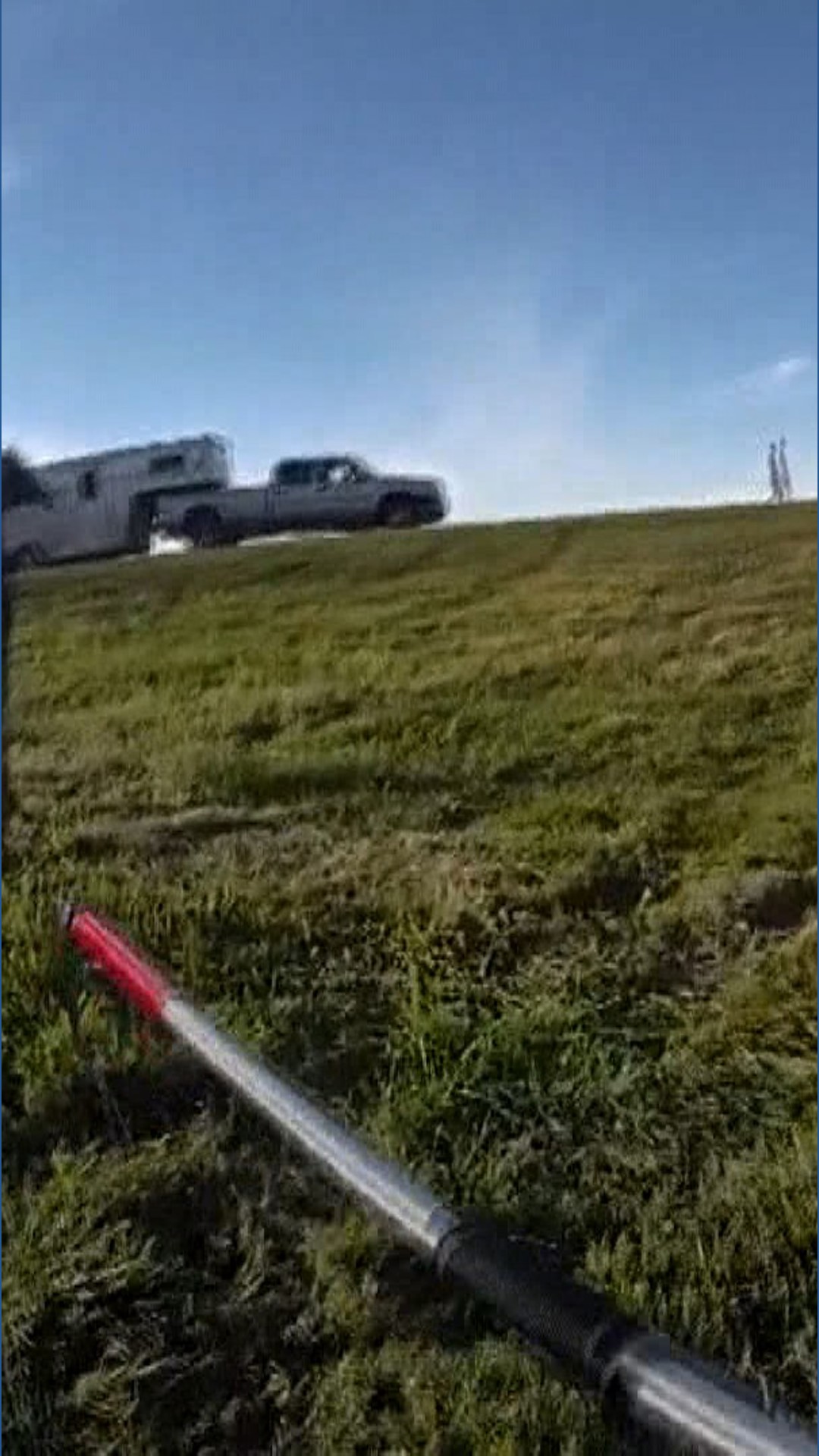 Video shows deputies attempting to catch escaped emu in Guernsey County ...