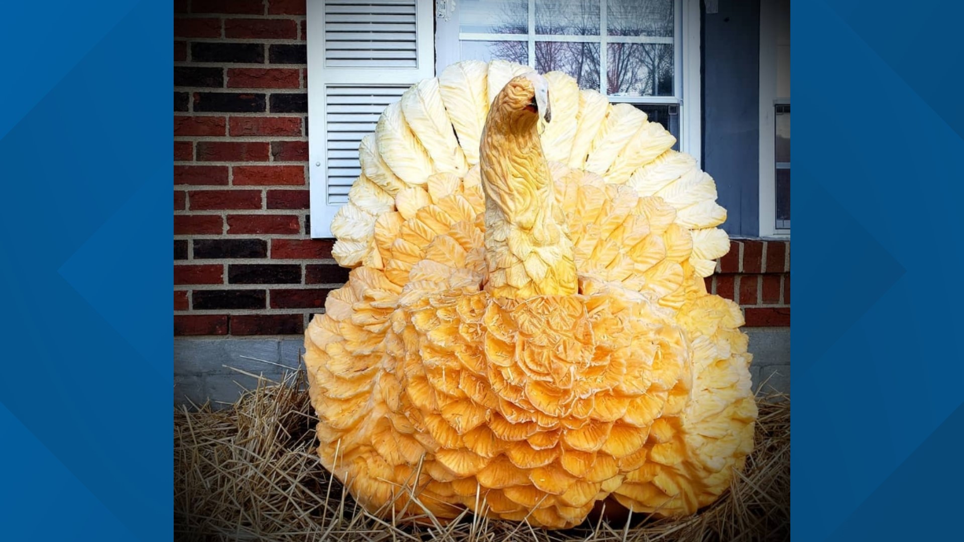 Pumpkin carver from Grove City takes national stage | 10tv.com