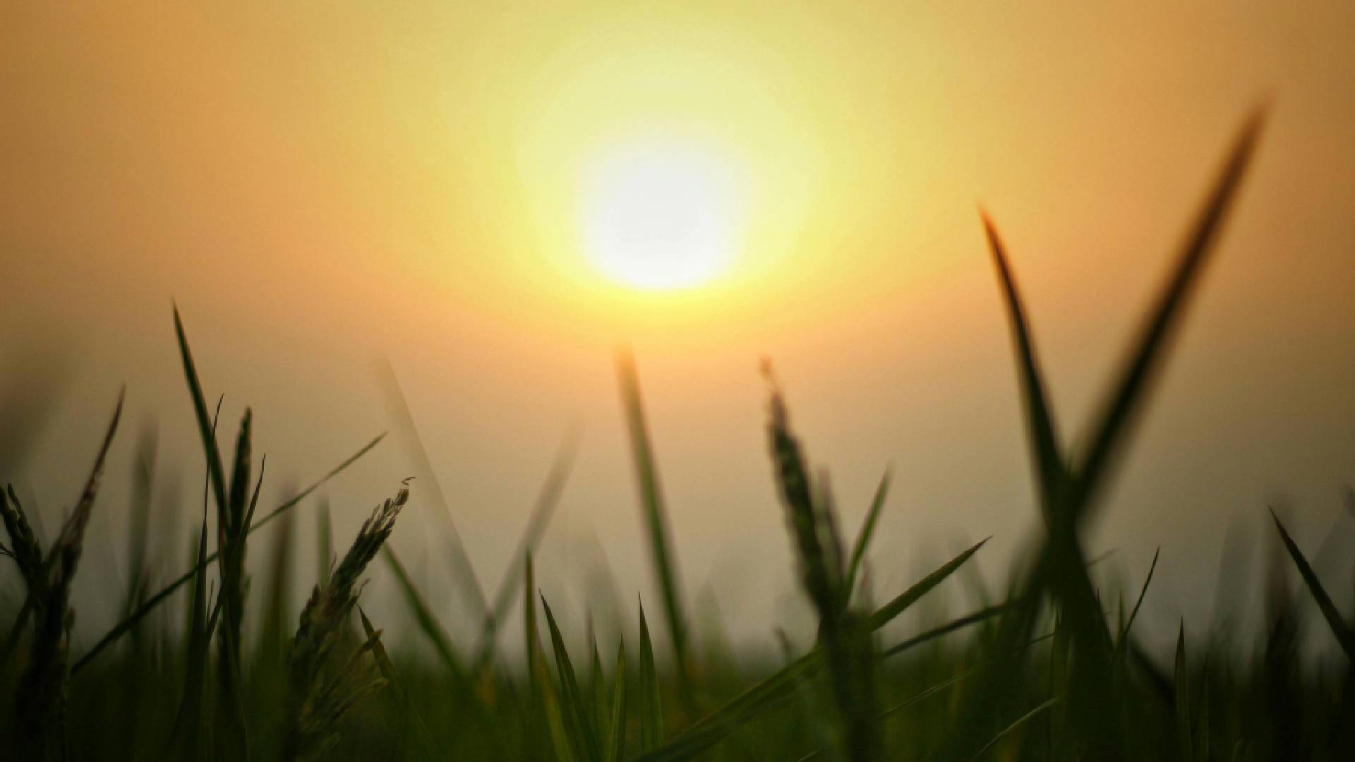 NOAA releases summer outlook: What it means for Ohio | 10tv.com