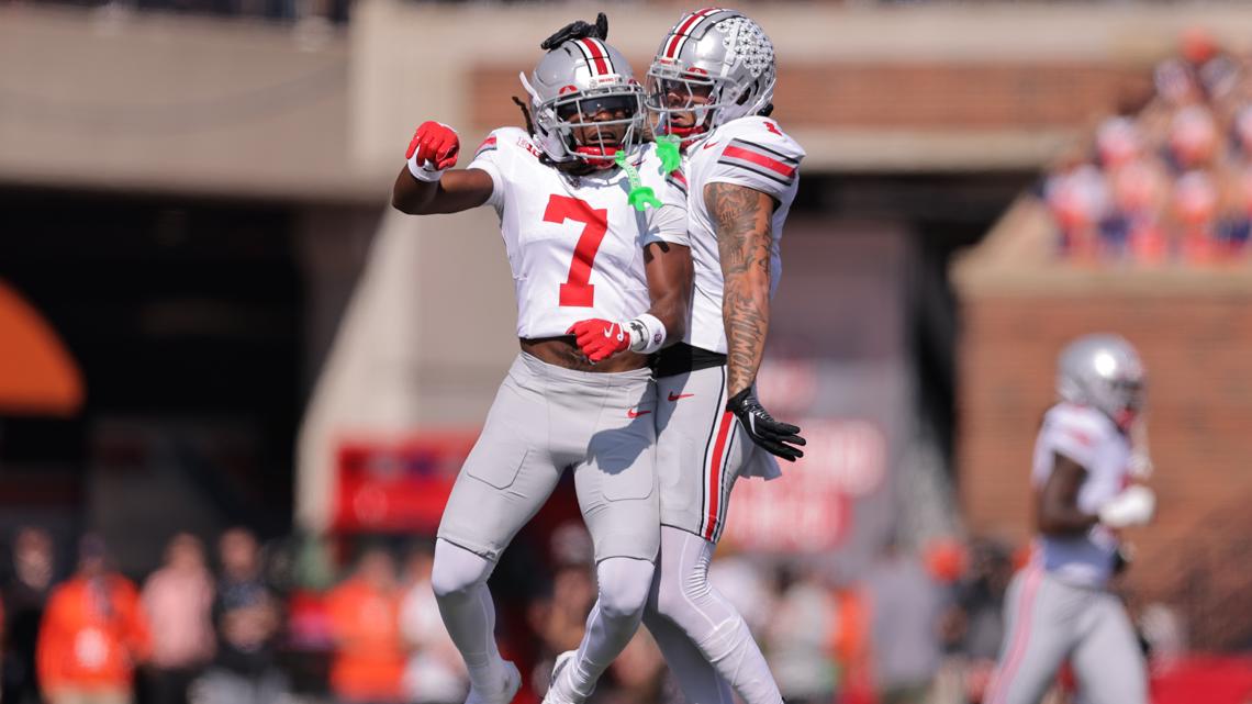 Blendon Woods Metro Park introduces inclusive playground | 10tv.com