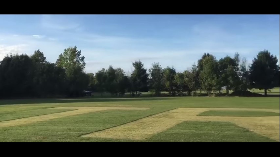 Michigan man mows 58,000 square-foot "TRUMP" sign into lawn | 10tv.com