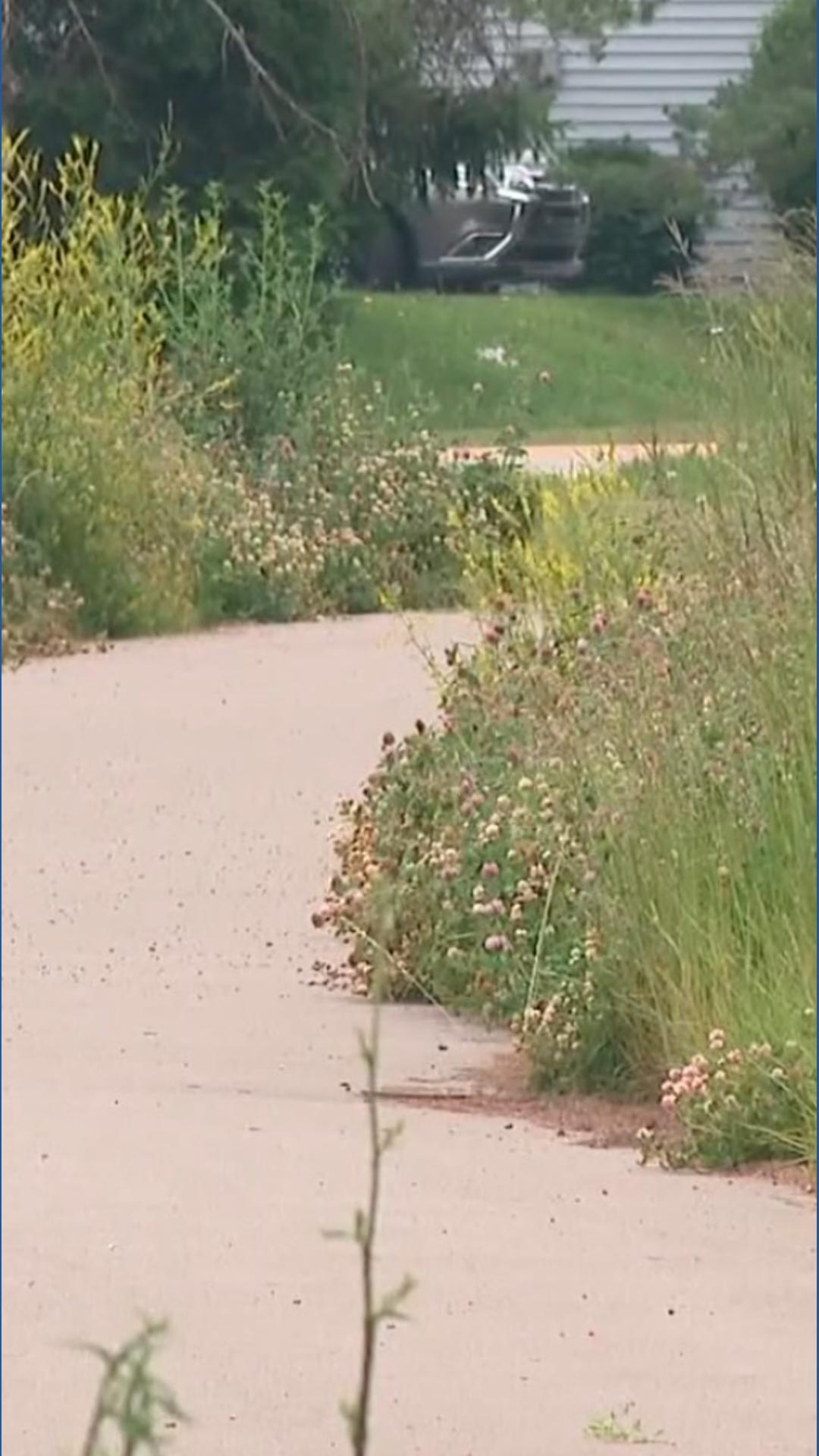 Columbus residents face fines over path maintenance | 10tv.com