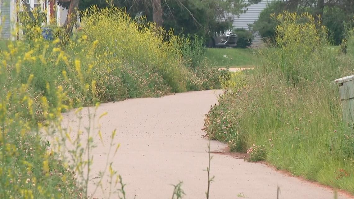Columbus residents face fines over path maintenance | 10tv.com