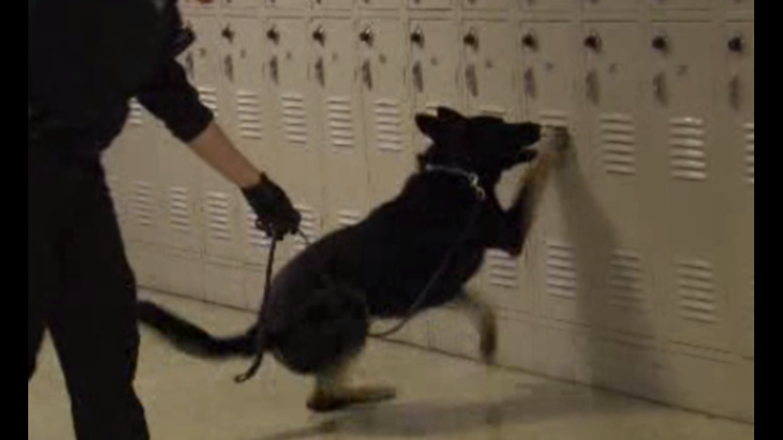 How To Train A Dog To Search For Drugs