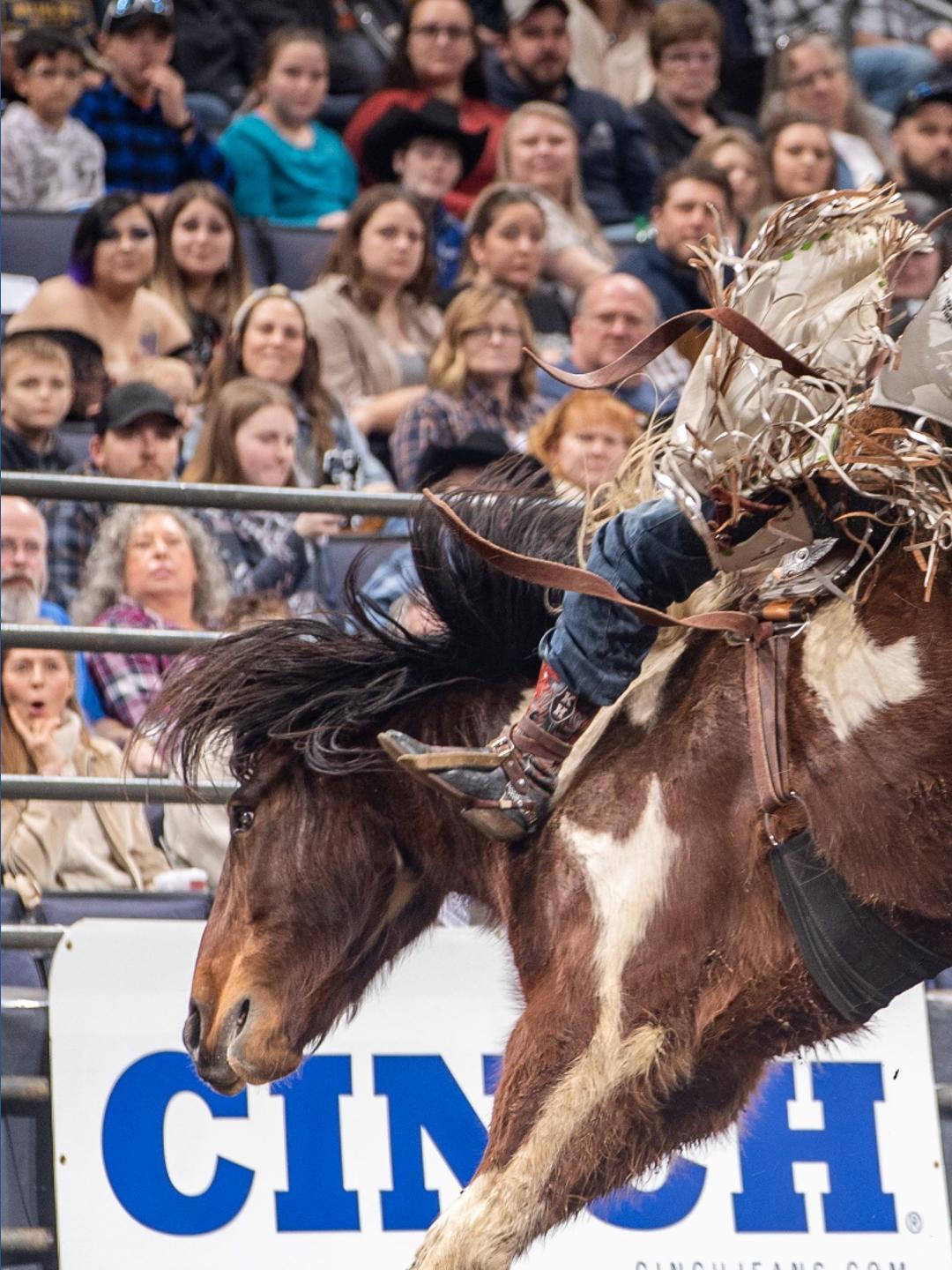 World's Toughest Rodeo Returns to Columbus in 2026 | 10tv.com