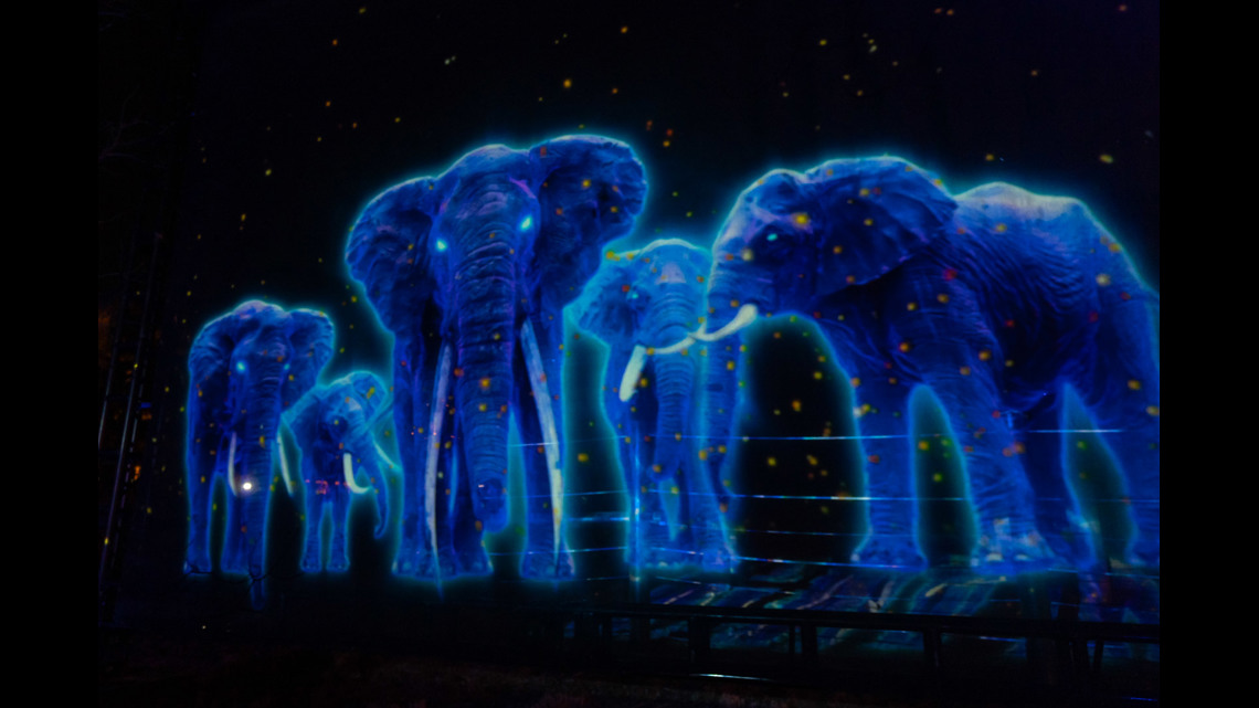 Columbus Zoo Unextinct exhibit open for 2 more weeks | 10tv.com