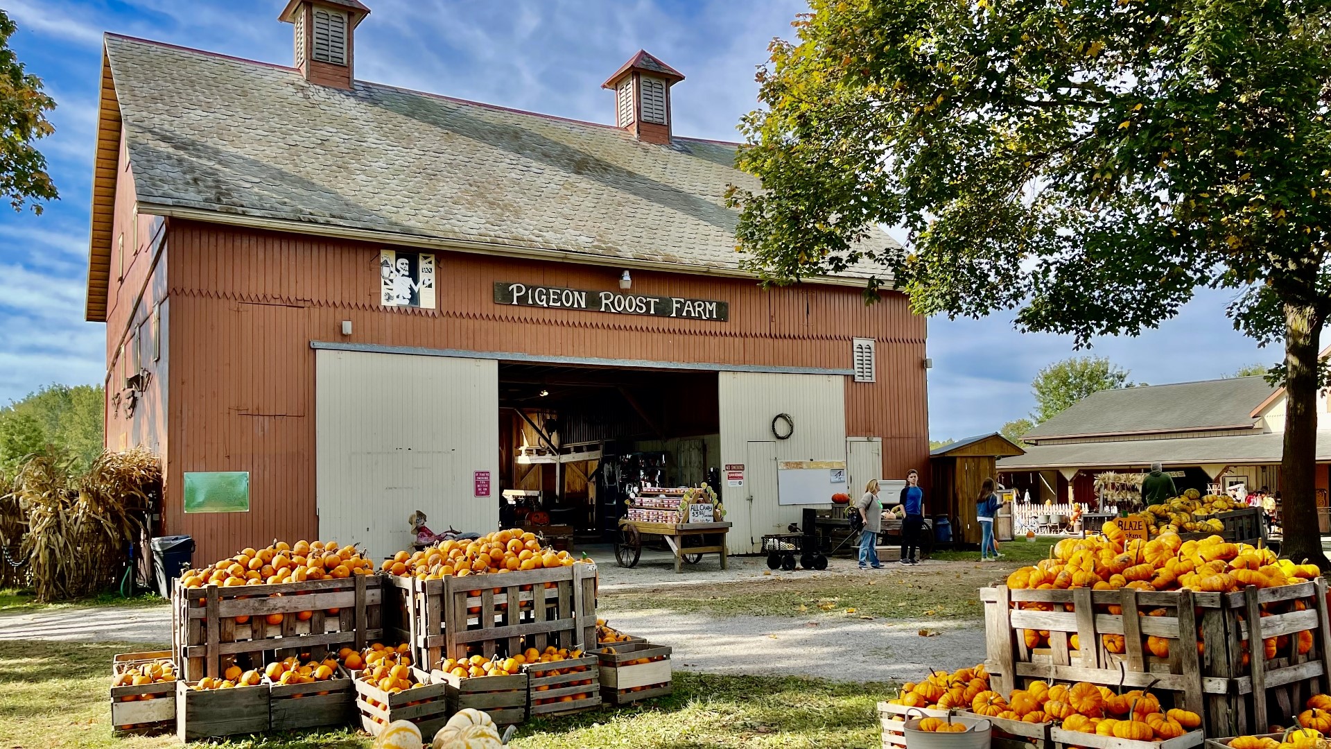 LIST: Central Ohio's fun-filled farms, events | 10tv.com