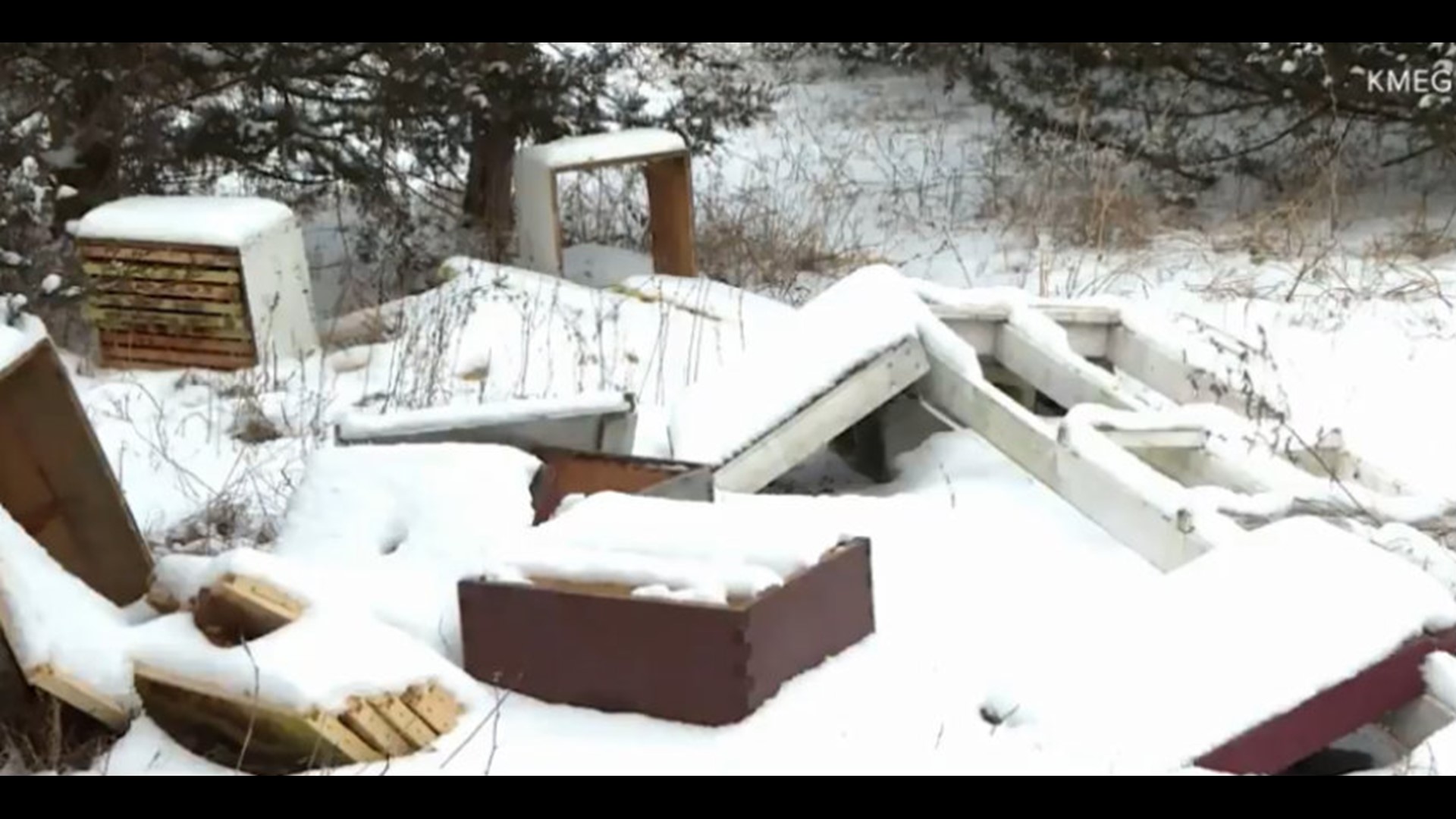 Vandals destroy 50 beehives in Iowa, killing at least 500,000 bees ...