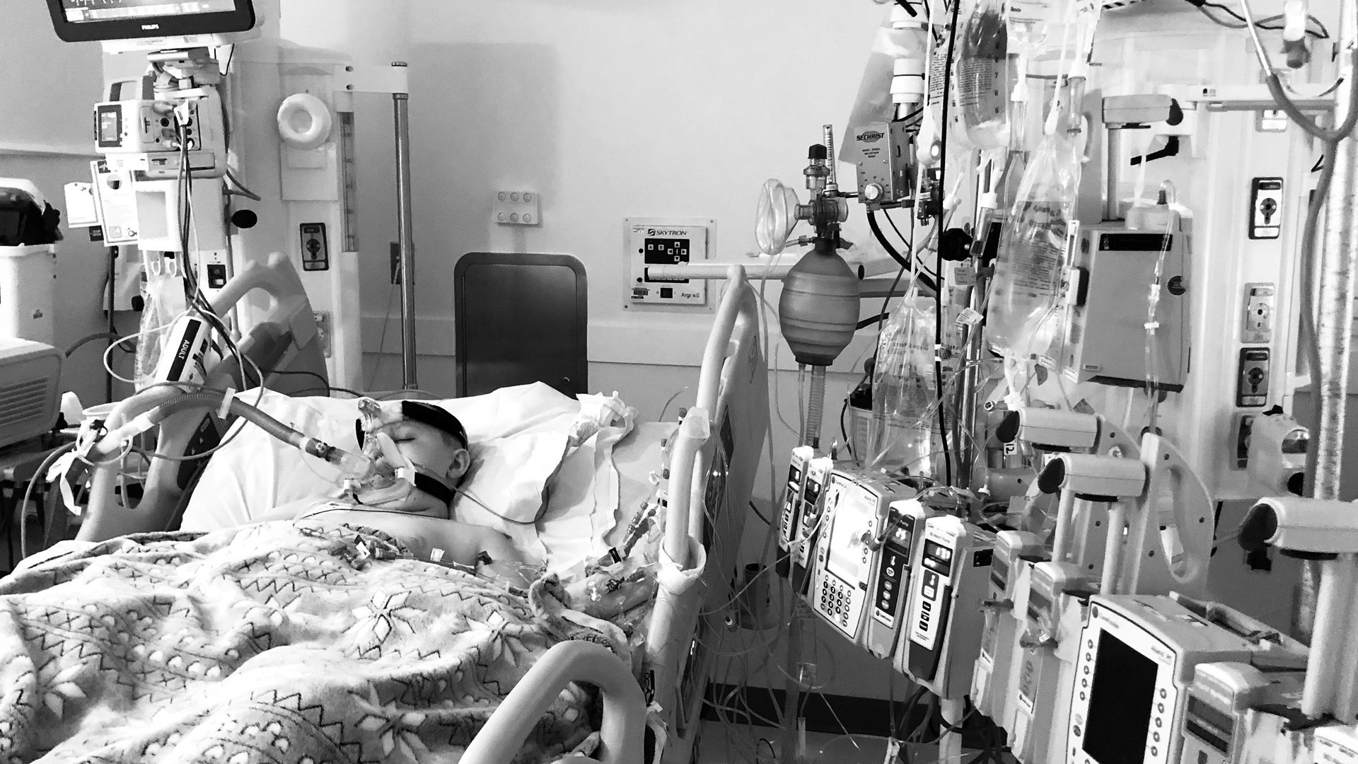 Cancer survivor ‘Battle Pups’ to grieving Tusky Valley students | 10tv.com