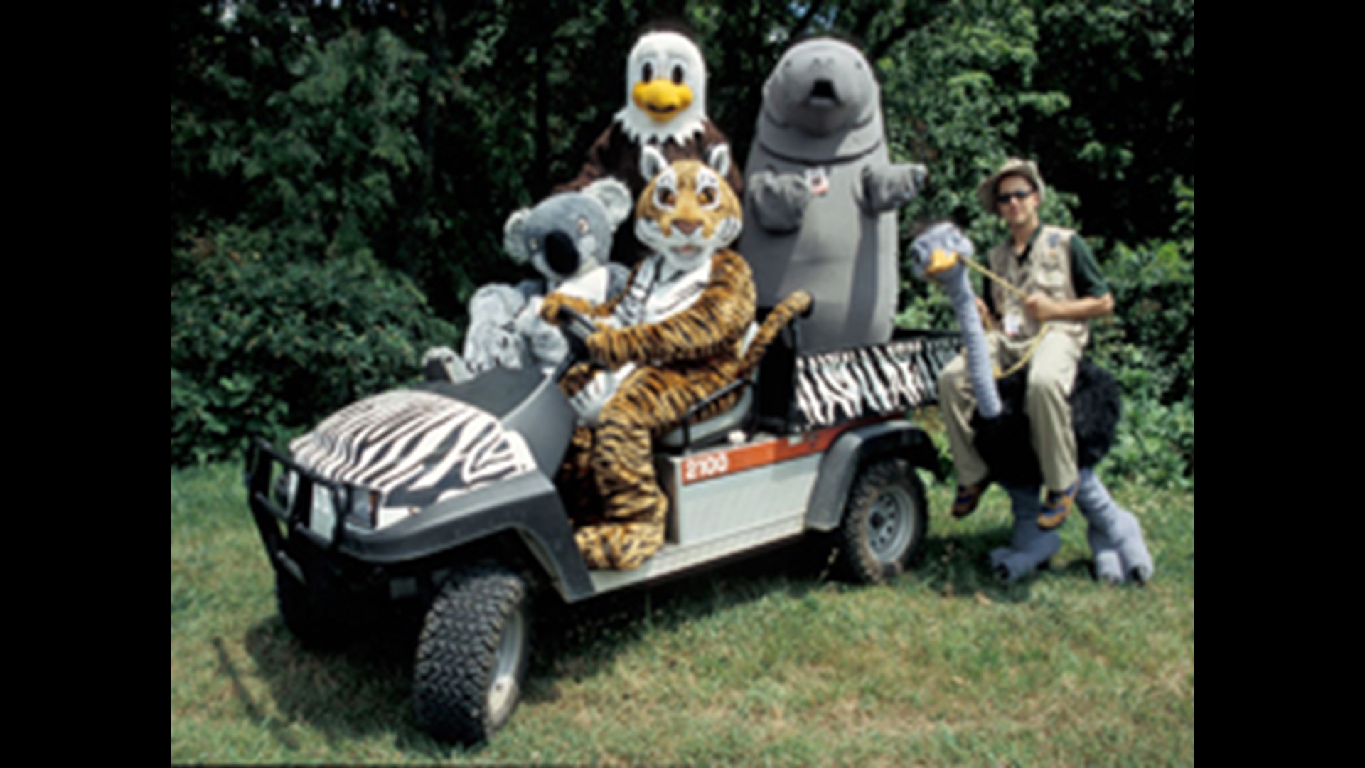 Woman Brings Mascots To Life | 10tv.com