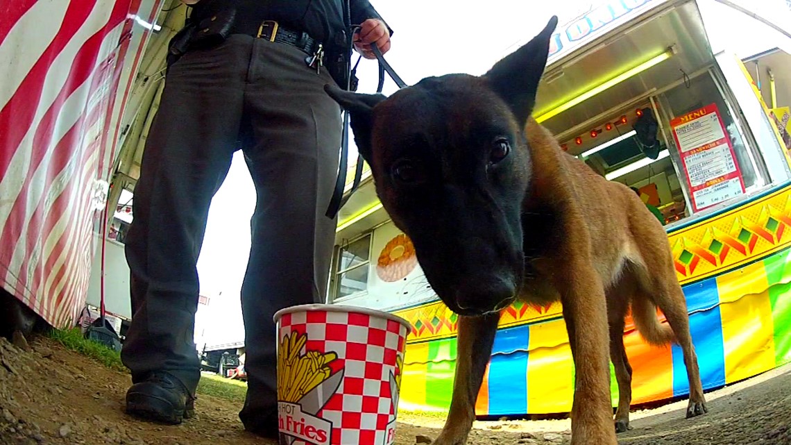 New Bomb-Sniffing Dog Has First Day On The Job | 10tv.com