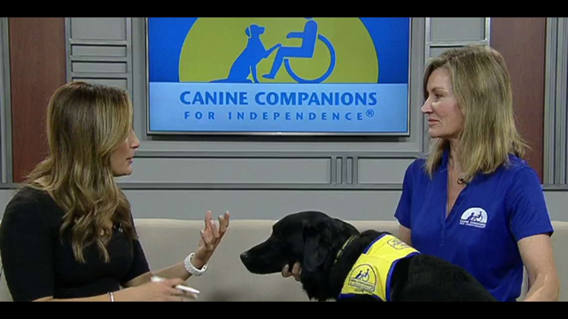 Canine companions for people with disabilities | 10tv.com