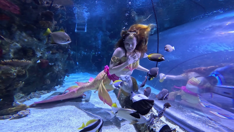 Man killed in crash on I-71 North in Columbus | 10tv.com