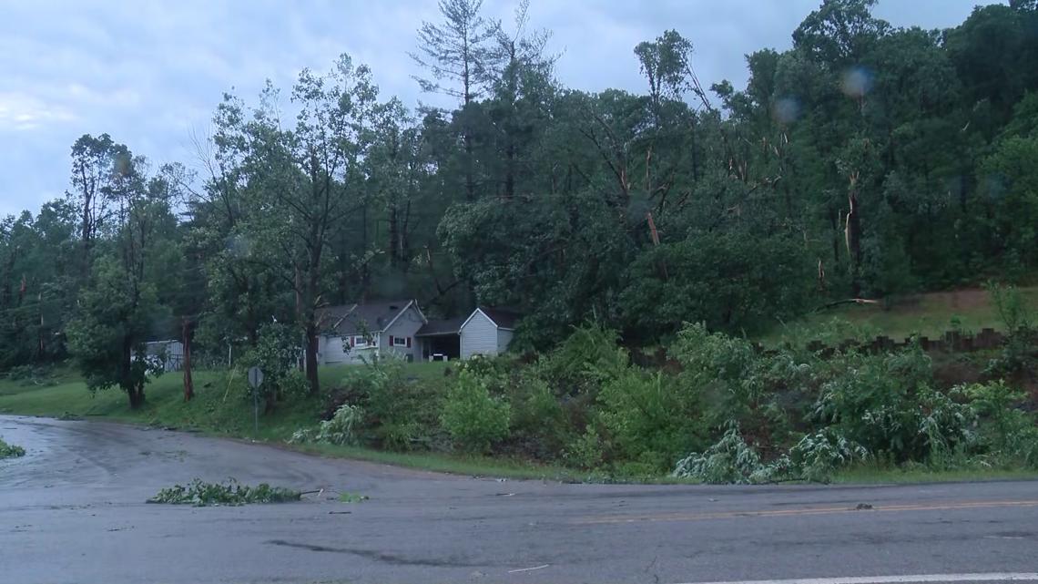 Storms knock down trees, power lines in Pike County | 10tv.com