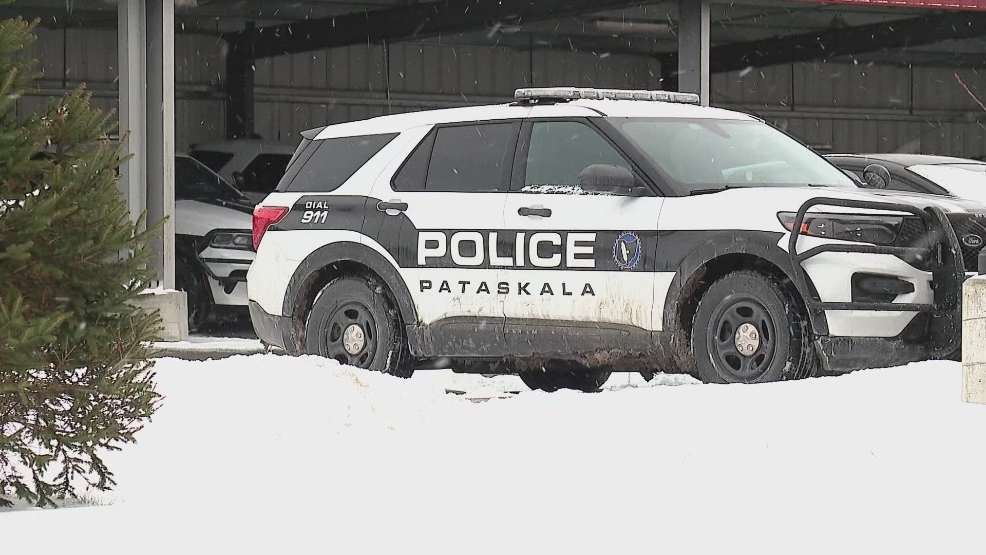 Police investigate if pig contributed to woman's death in Pataskala ...