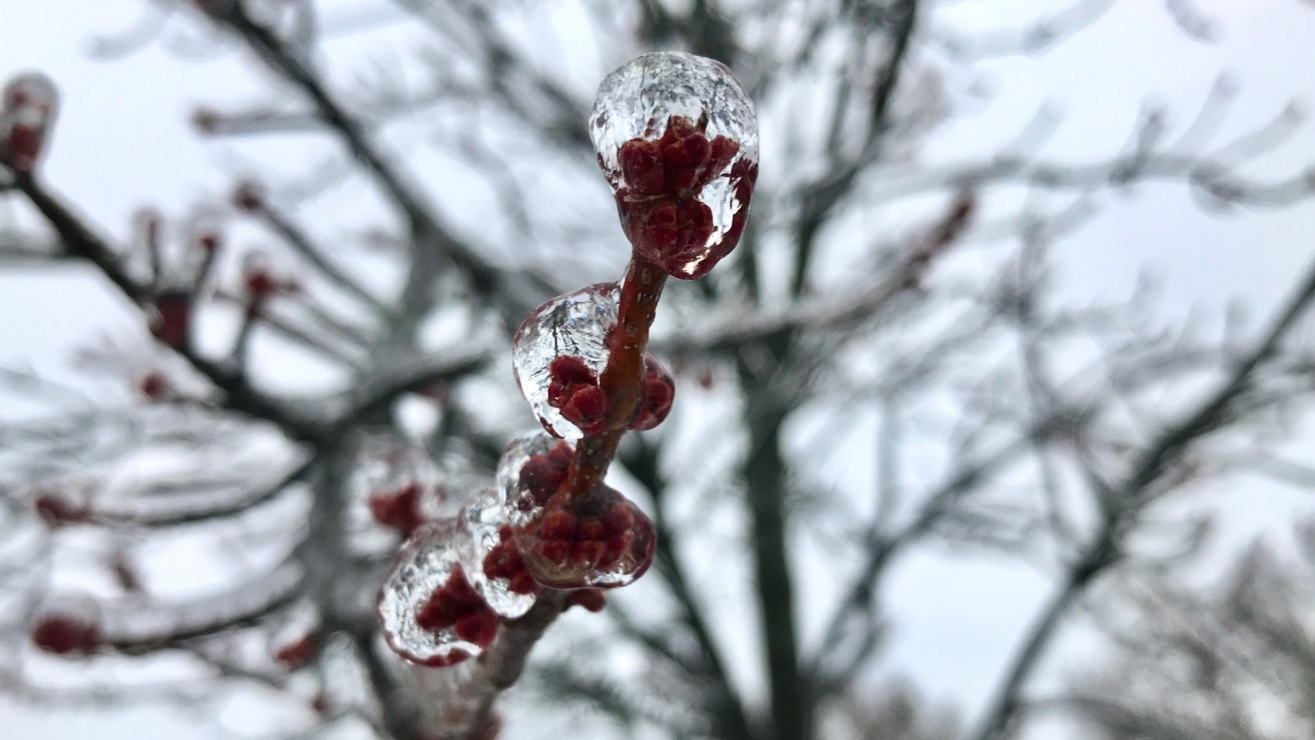 Photos, video of snow, ice from winter storm in central Ohio | 10tv.com