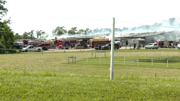 Dozens of horses killed, 1 person injured in barn fire | 10tv.com