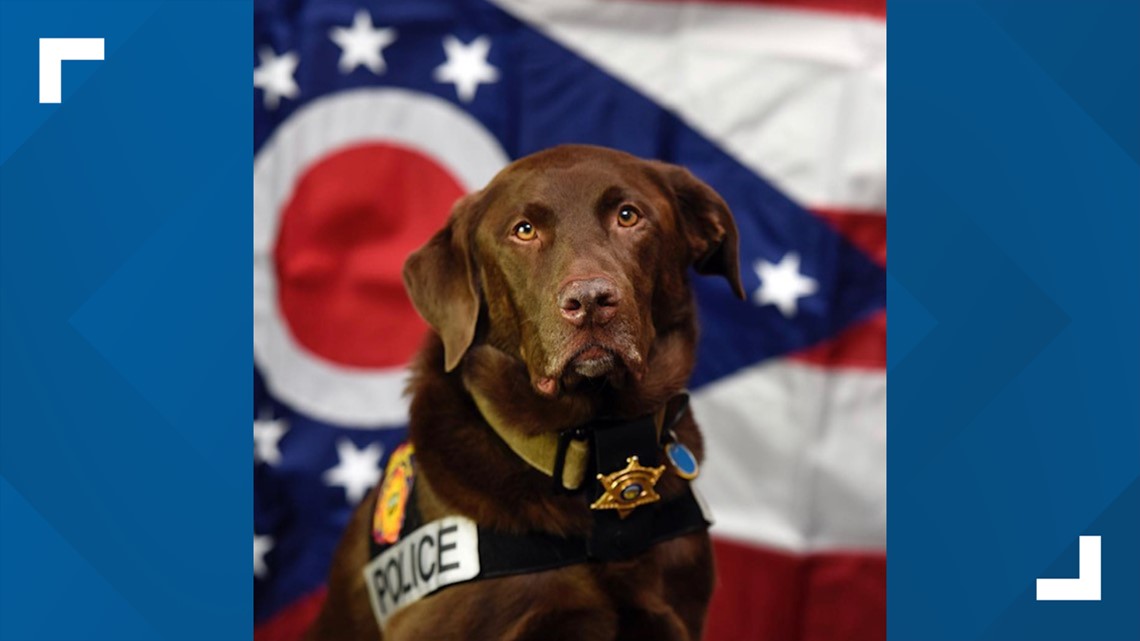 State Fire Marshal's explosive sniffing dog dies at 13 | 10tv.com