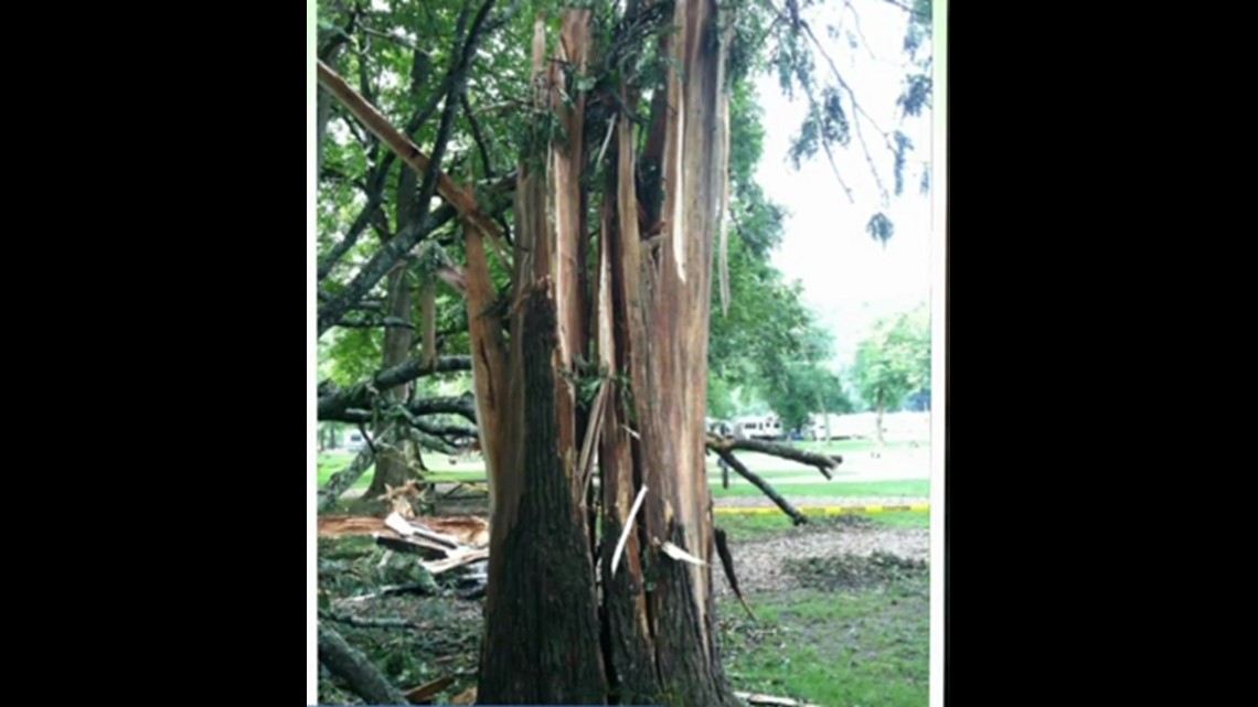 Man Survives Exploding Tree After Lightning Strike | 10tv.com