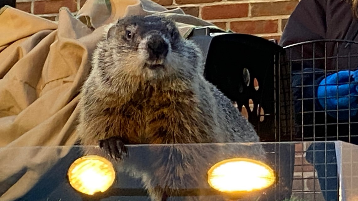 Groundhog Day 2026: Did Buckeye Chuck see his shadow? | 10tv.com