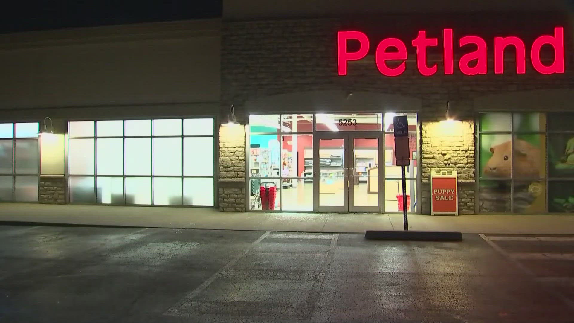 Several animals set loose after suspect allegedly breaks into west ...