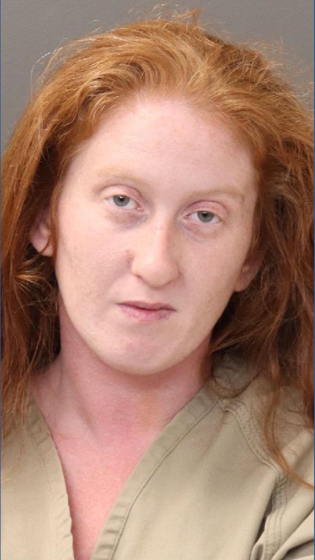Woman charged after reportedly harboring suspect in Mifflin Twp ...