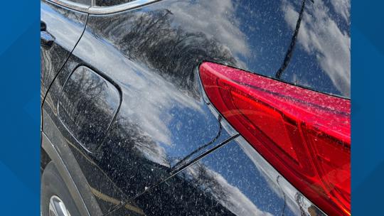 Family says dog stolen from PetSmart, found dead on road | 10tv.com