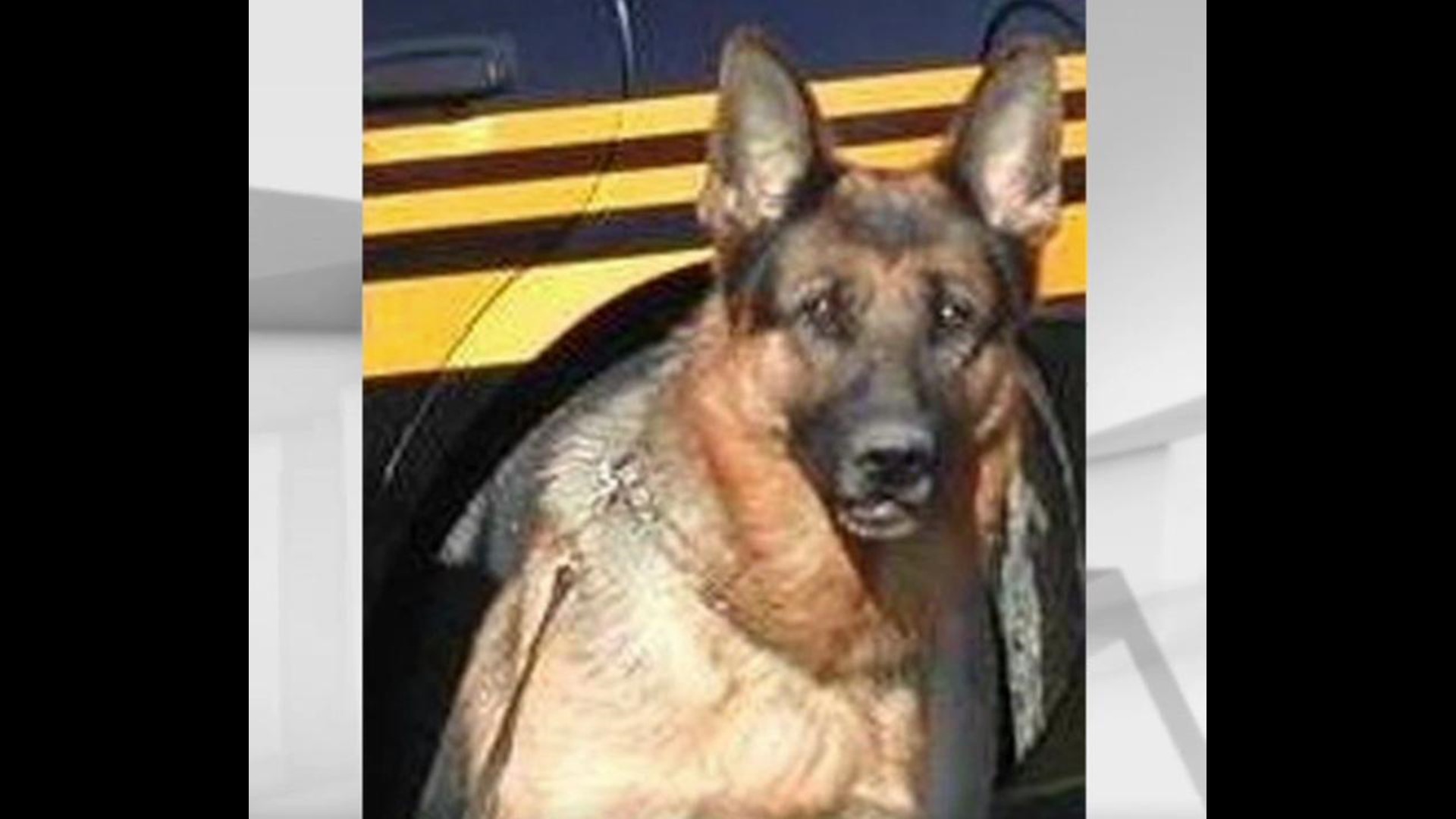 Pickaway County To Create Memorial For Fallen K9 Officers | 10tv.com