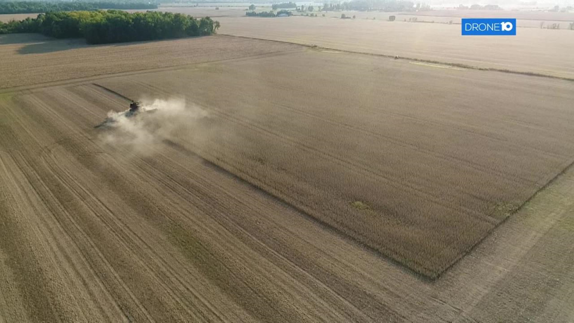 Drone 10: Soybean farm in Delaware County | 10tv.com