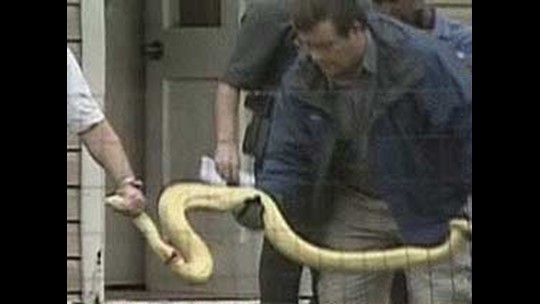 Officials: Escaped Pet Python Strangled Fla. Child | 10tv.com